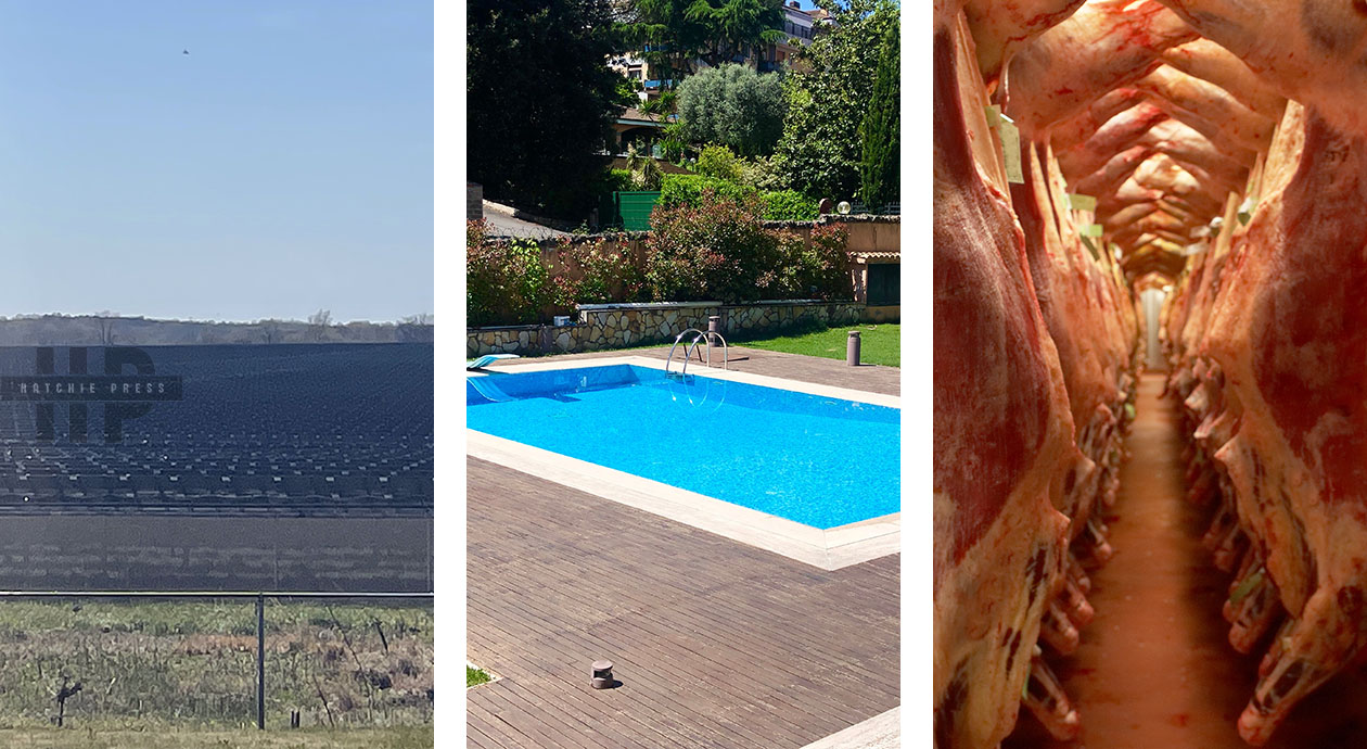 Solar Farms, Swimming Pools, and Slaughter Houses. Oh My! {video ...