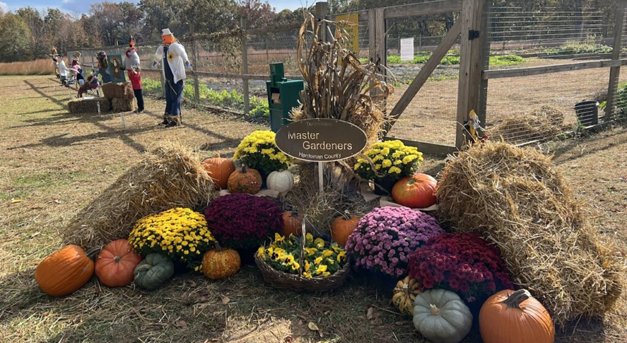 Master Gardener Classes to be Offered in Hardeman County - Hatchie Press